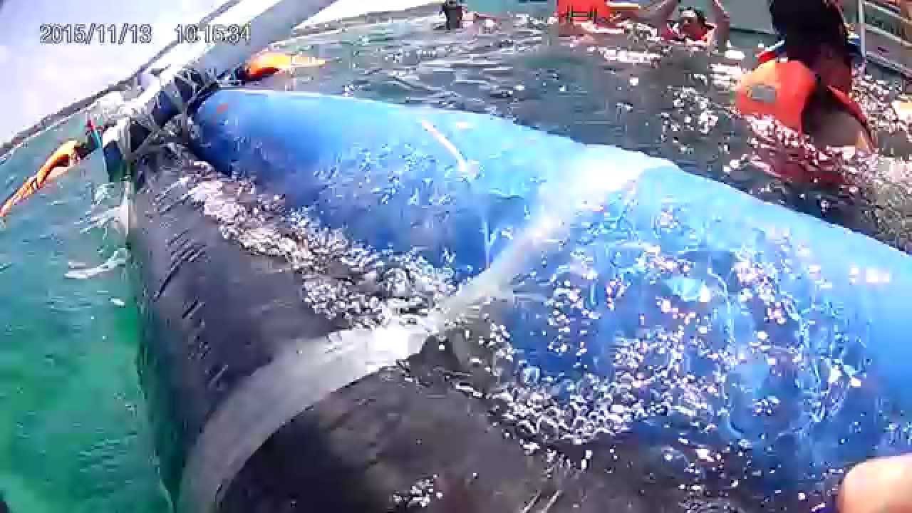 Supremo 1 Underwater Sample Video - YouTube