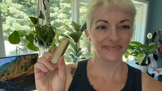 Are these folding hooks PERFECT for hanging plants and keeping stuff off the floor? - Review