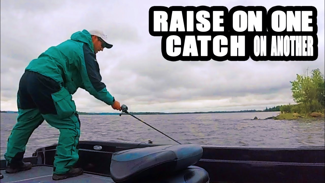 Musky! Raise on One, Catch on Another! - YouTube