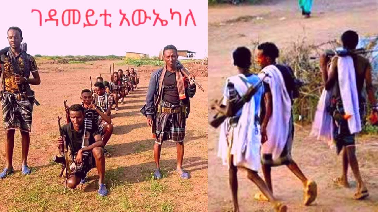 Garba ciise oo 10 KM loo jiro Dad gaajo ugu dhintey Gobalka Tigreega ...