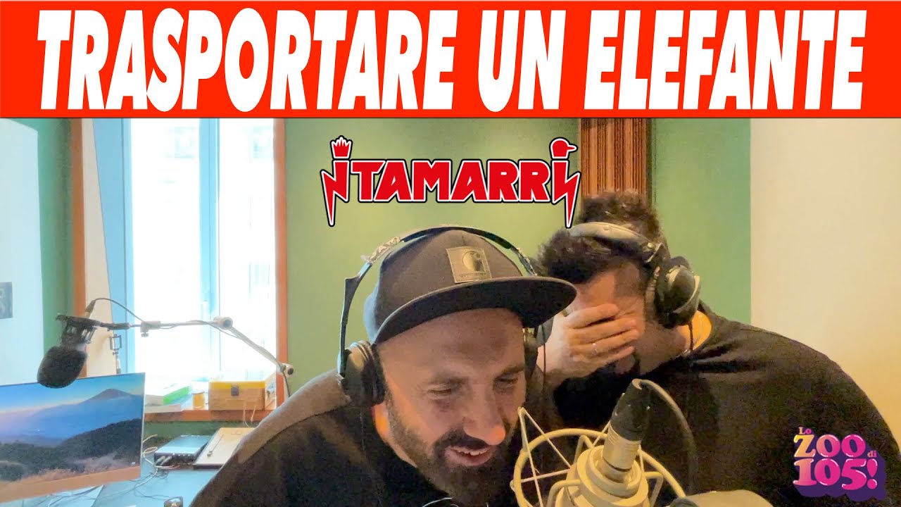 I TAMARRI - TRASPORTARE UN ELEFANTE - YouTube