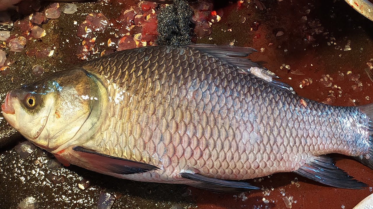 Amazing Live Huge Katla Fish Cutting Skills In Fish Market 2020 ...