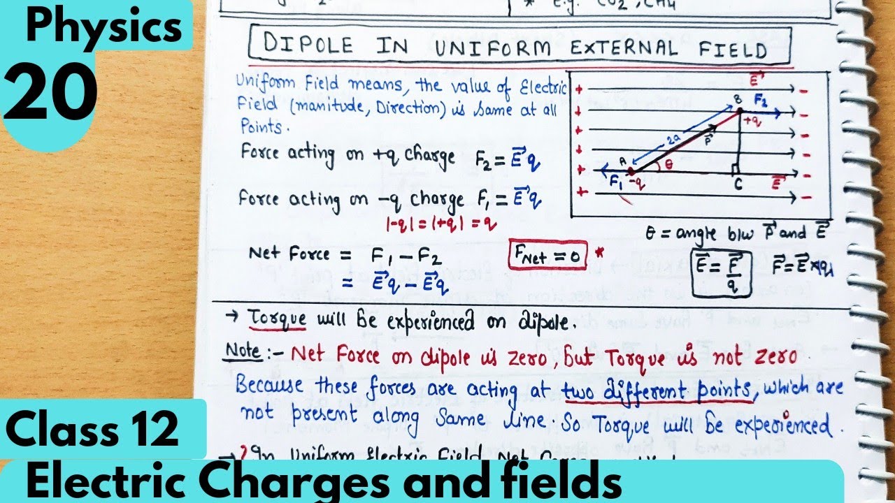 20) Dipole in uniform external field| Electric Charges and fields| Electrostatic Class12 Physics ...