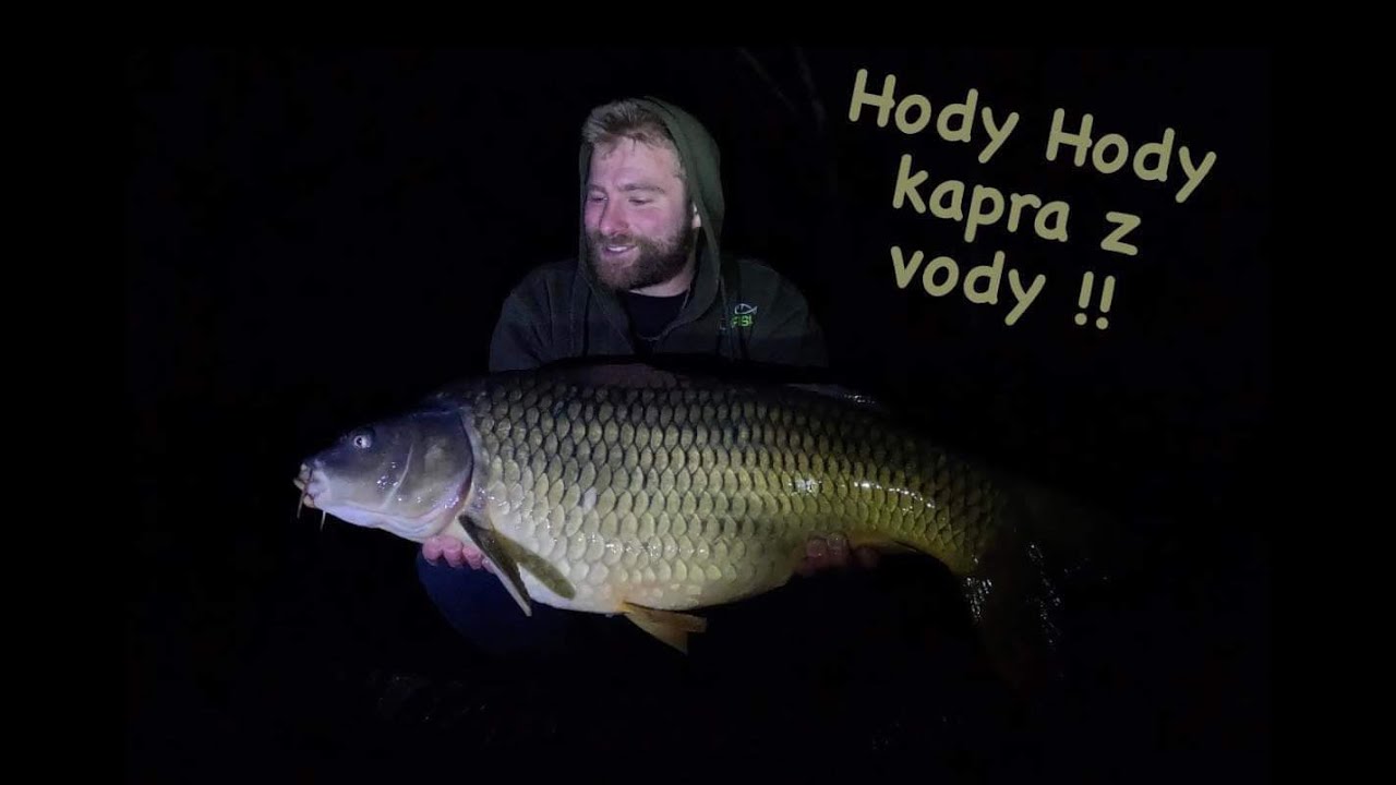 Hody hody - kapra z vody / Lov velkého kapra / Big carp fishing ...