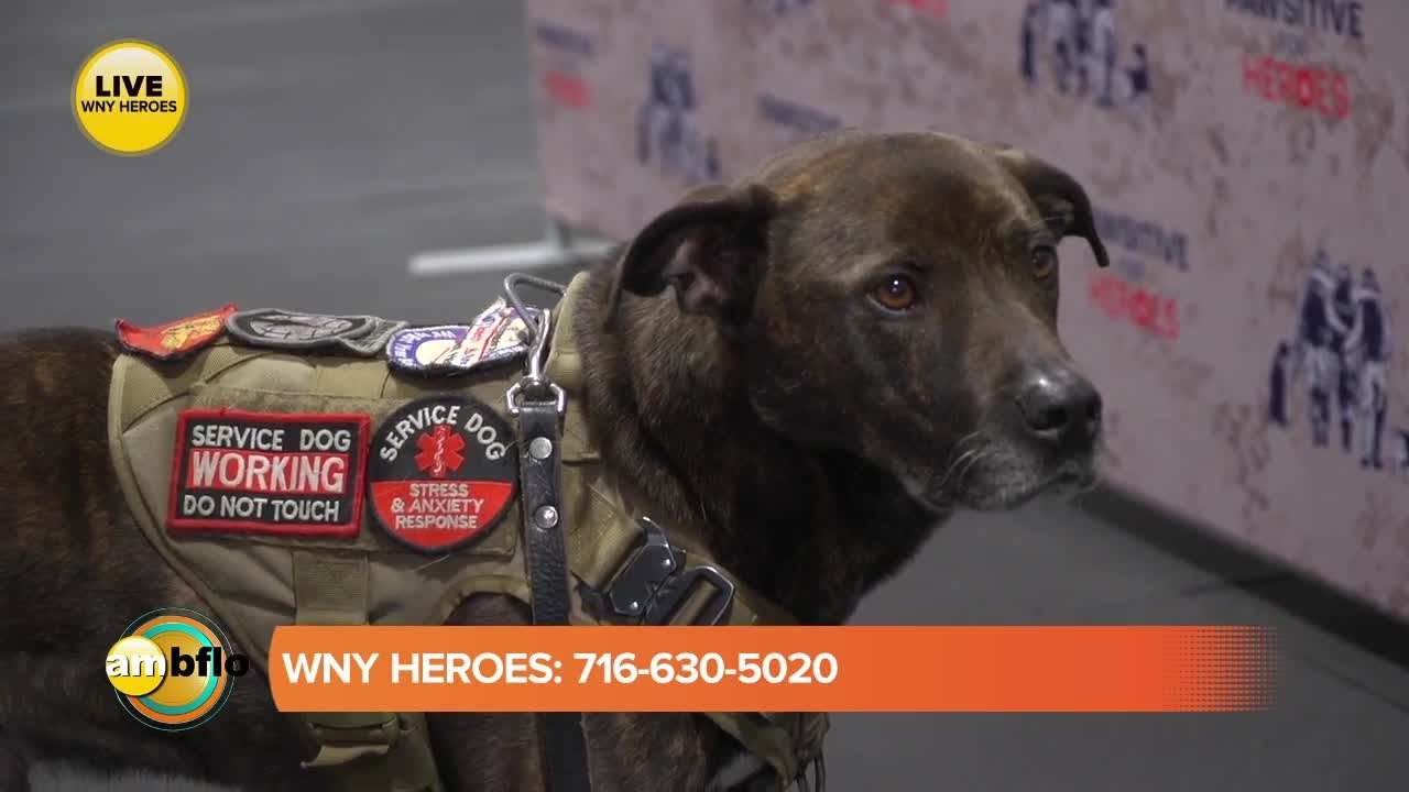 AM Buffalo visits WNY Heroes new facility - Part 2 - YouTube