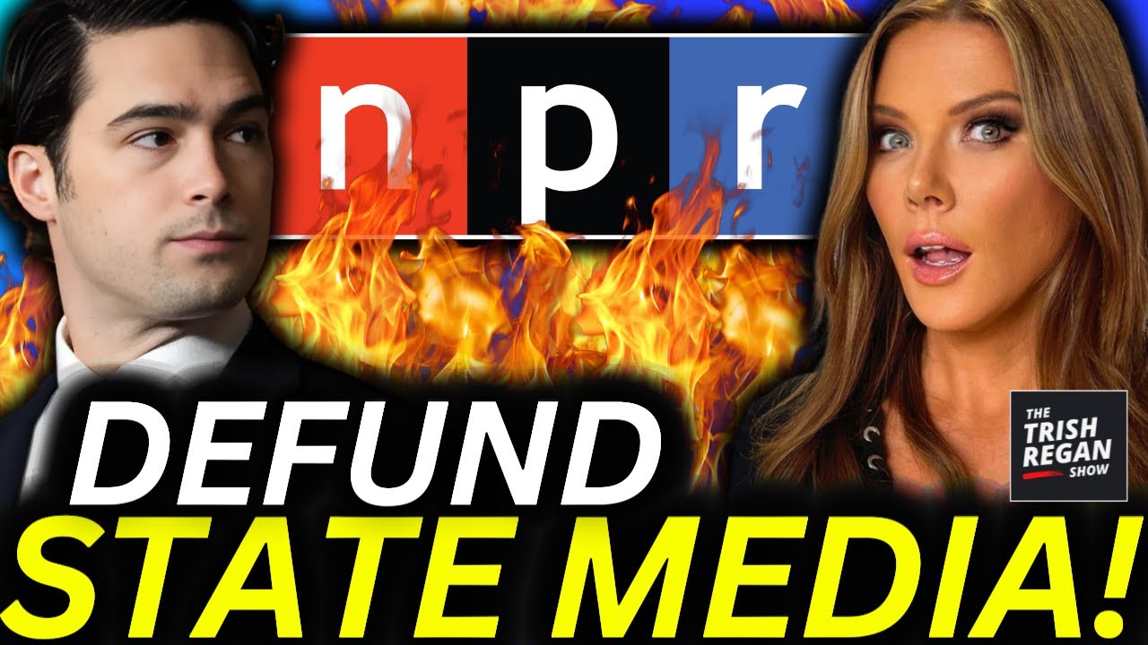 WATCH: Texas Rep. Brandon Gill Goes Scorched-Earth on NPR’s CEO Face to ...