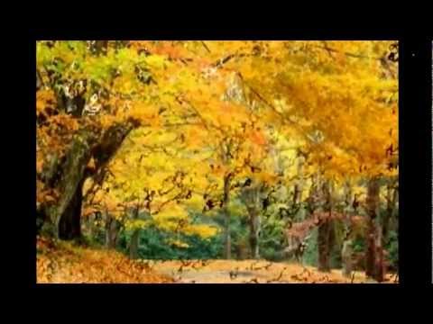 СЛЕЗЫ   ОСЕНИ . --  Бутырка .