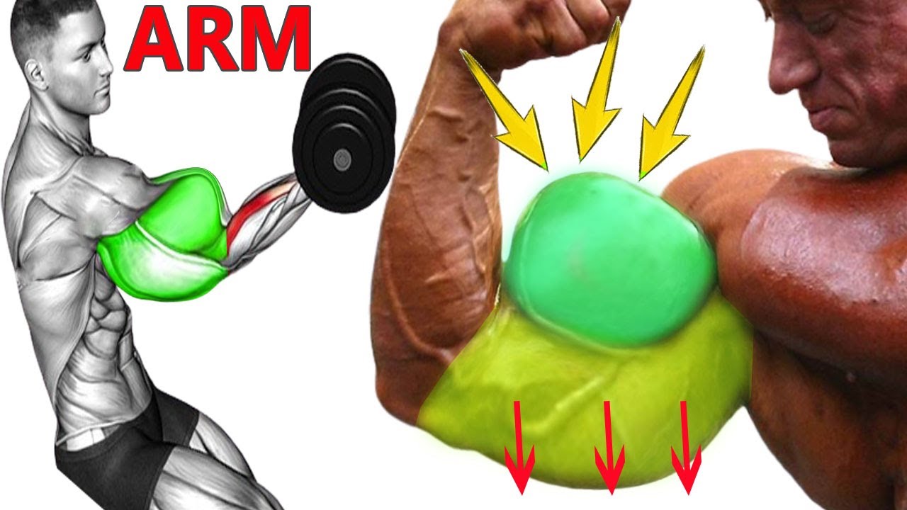 Build Massive Arms Fast : Bicep & Tricep Blast in One Workout 💪 - YouTube
