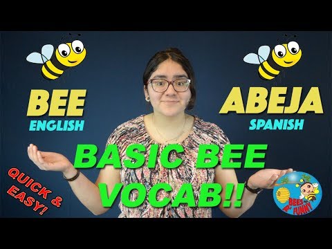 How Do You Say Bee Colony In Spanish