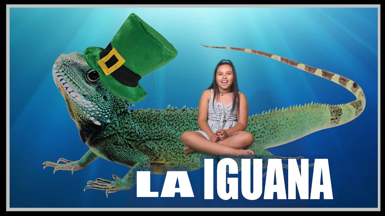 🐔🦆La iguana-Canciones infantiles-Cosas de Niños🐣🐶 🐰 - YouTube