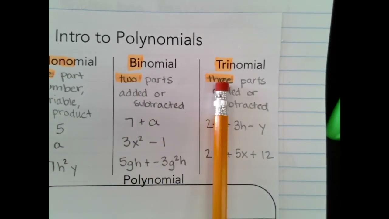 F-1 Intro to Polynomials (12/3/24) - YouTube