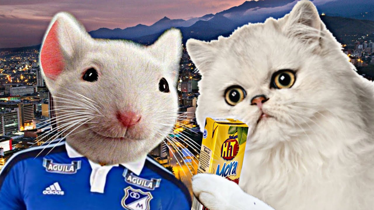 UNA RATA EN CALI | STUART LITTLE RESUMIDO A LA COLOMBIANA - YouTube