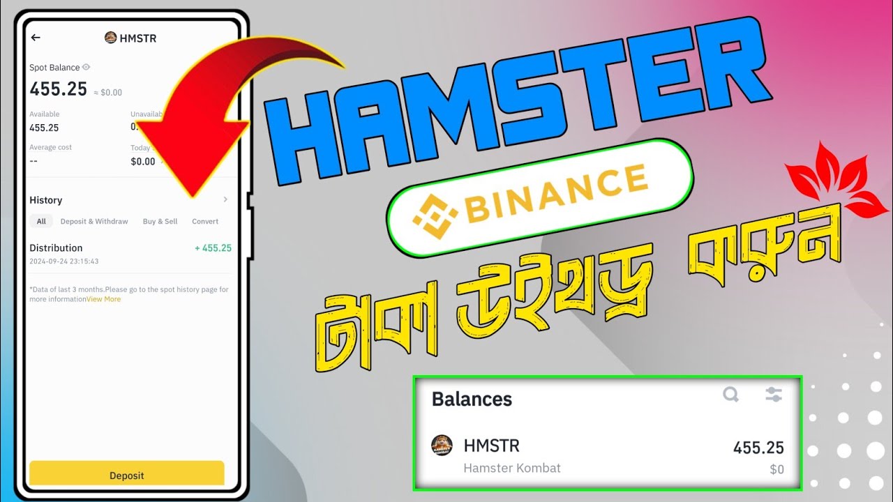 hamster-kombat-token-to-usd-add-binance