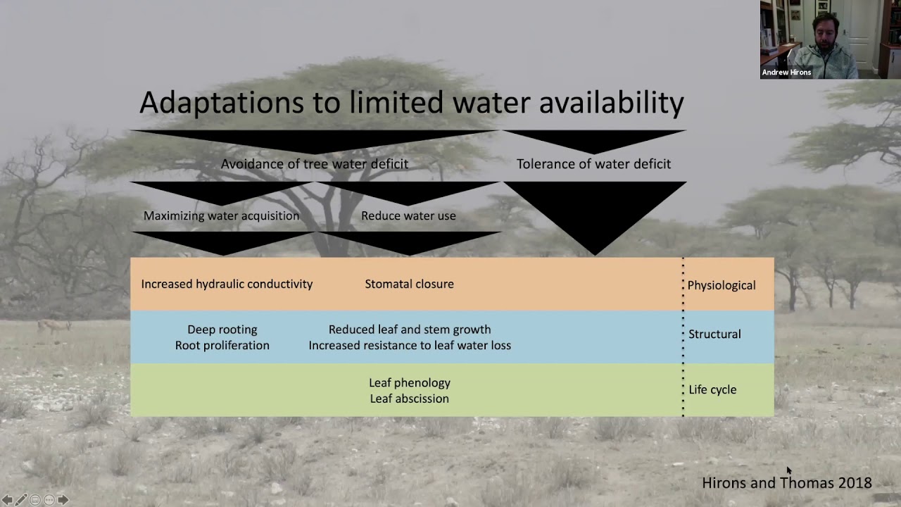 Andrew Hirons: How Plants Deal with Drought and Waterlogging - YouTube