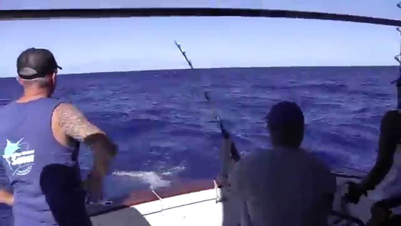 Samoa Sportfishing - YouTube