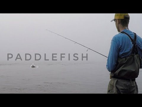 Lower Wisconsin River Paddlefish - YouTube
