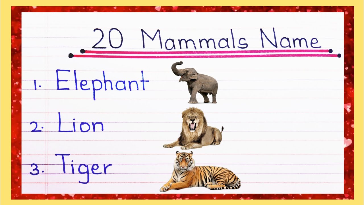 20 Mammal names || Mammal names in english || English vocabulary - YouTube