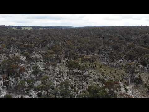 A quick flight over Wandoo National park. WA. Thanks to Dave F. - YouTube