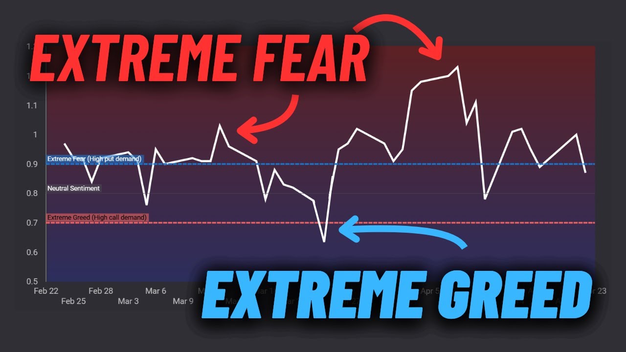 The Put-Call Ratio Explained: BEST Greed & Fear Sentiment Indicator ...