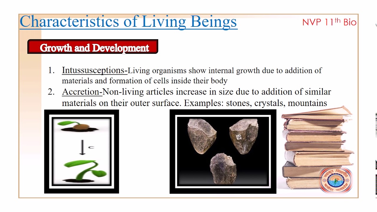 Living world Class 11 (Biology) - YouTube