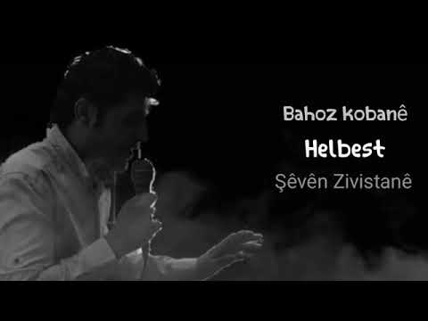 Bahoz şakir şevên zivistanê
