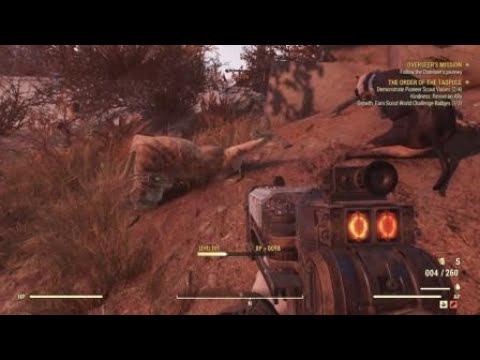 Fallout 76: Blood Eagle attack dogs throw themselves off a cliff - YouTube