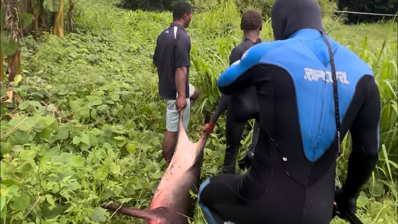 🧜‍♂️spear fishing and unexpected🐗 Boars🐗 hunting at ovalau Fiji Island ...
