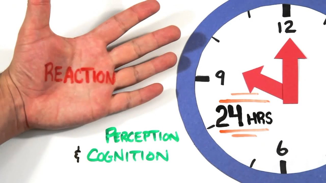 AsapSCIENCE - Что произойдет, если перестать спать? - YouTube