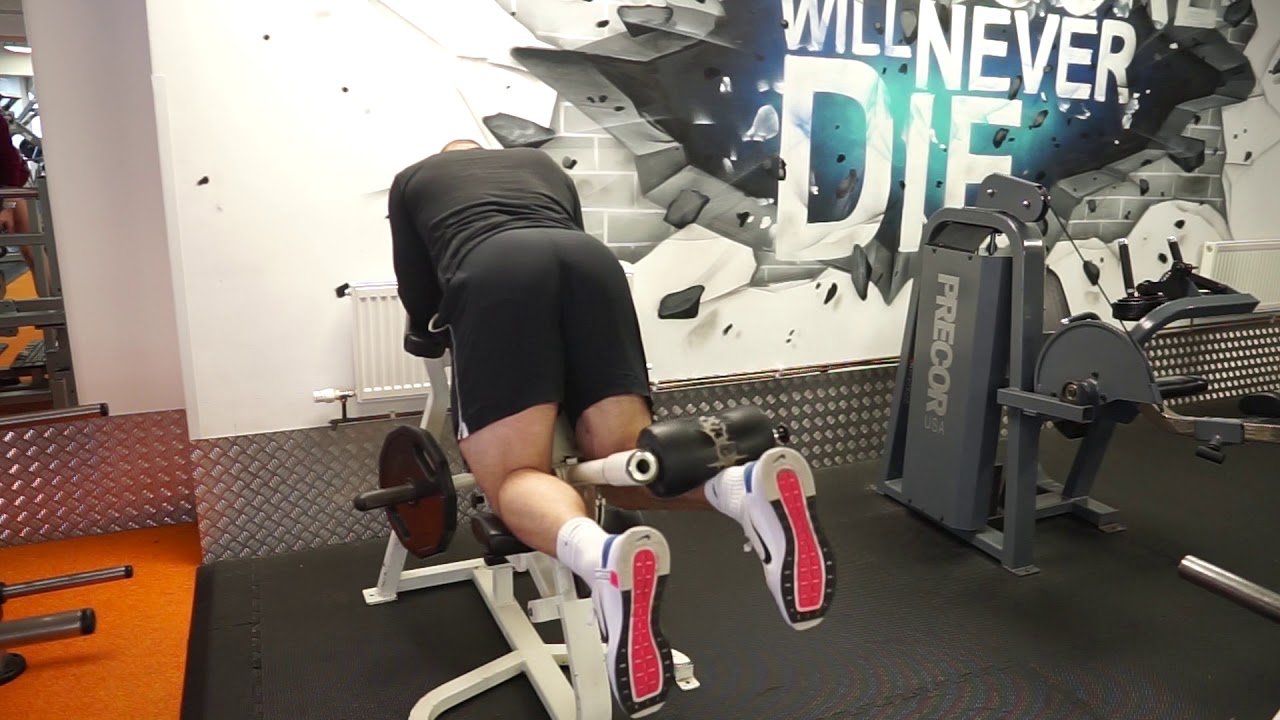 Kneeling SL Hamstring Curl - YouTube