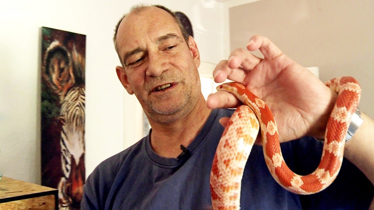 Ende Legende: Nachruf auf Kneipenterrorist Bernd Knauer | SPIEGEL TV ...