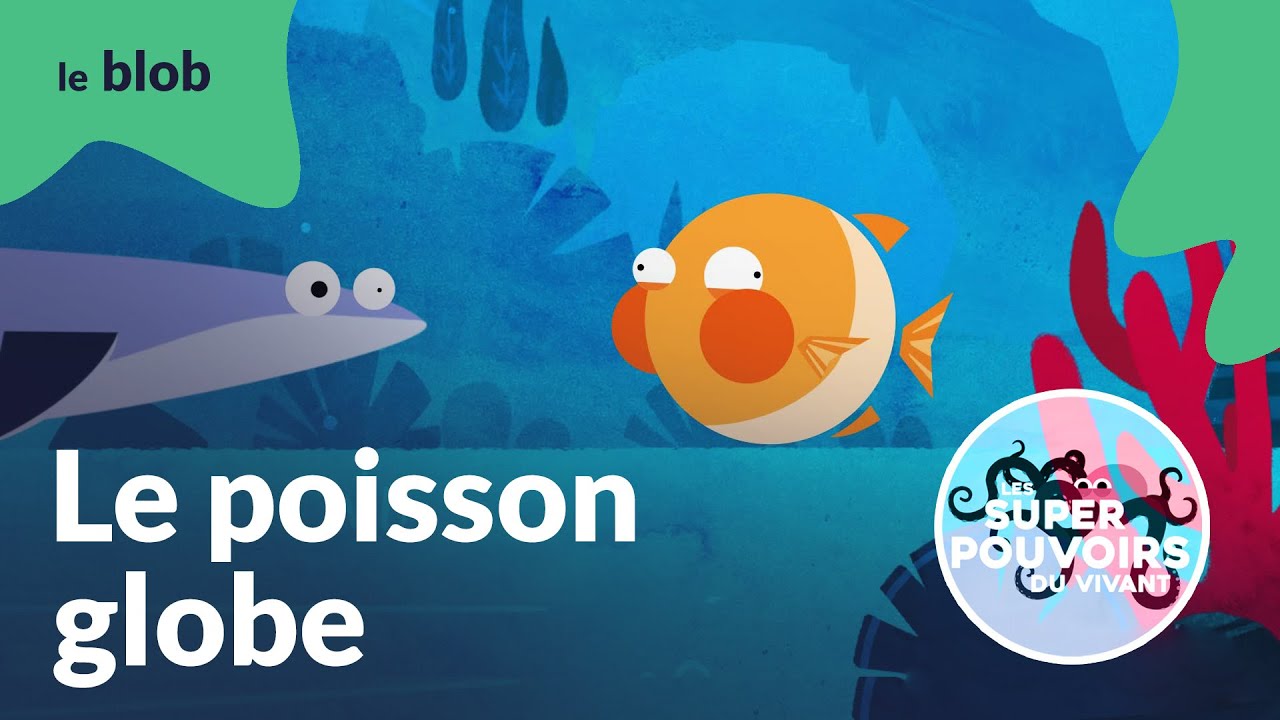 Le poisson-globe, l’ingénieur amoureux | Les super-pouvoirs du vivant ...