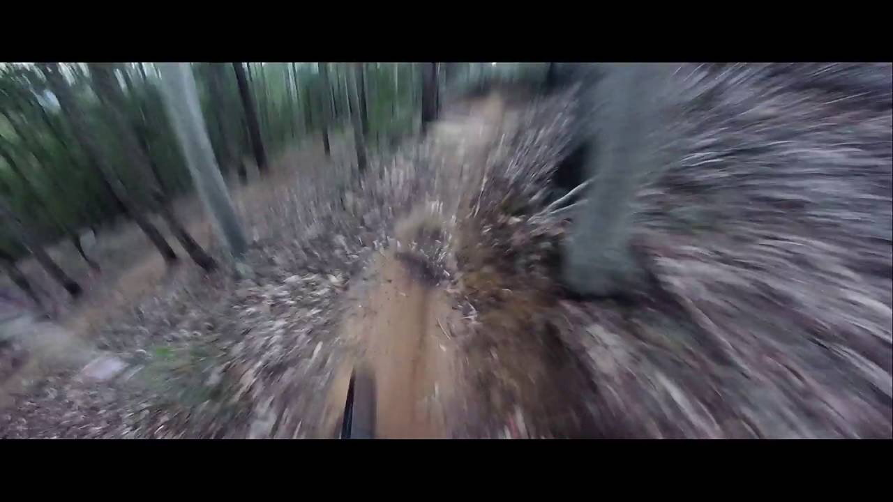 Ourimbah DH Ride - YouTube