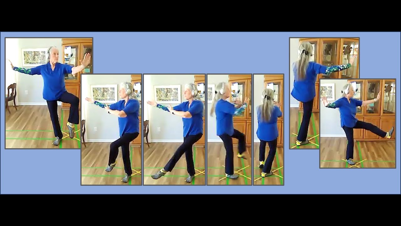 11/14/23 Tues Sect 2 #19 TURN BODY LEFT HEEL KICK plus SEPARATION KICK ...