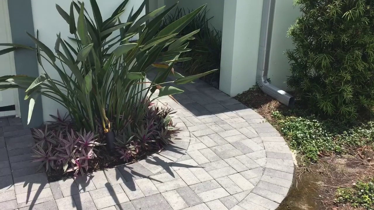 Pokey plants - YouTube