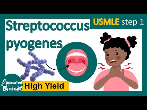 What Is The Science Name For Strep Throat