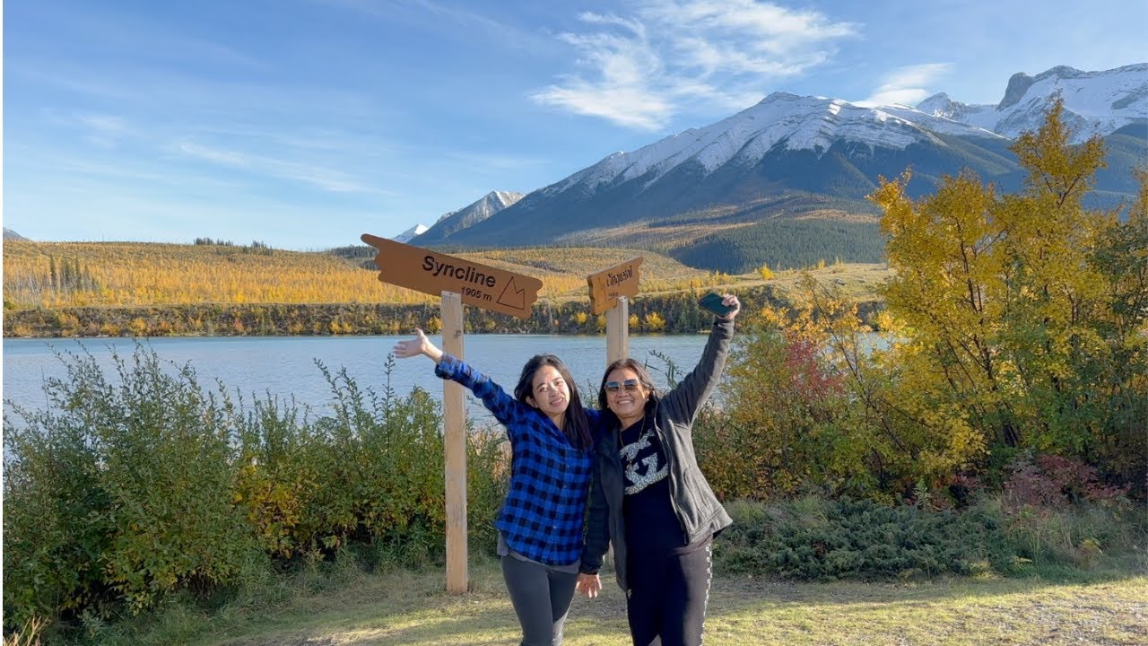 Maligne Lookout, Evelyn Creek, Bear & Mountain Goats Experience & MORE ...