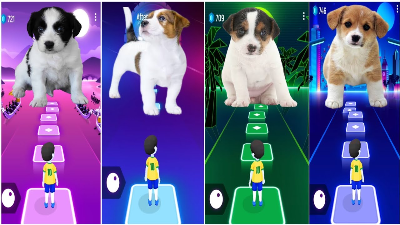 ALL CUTE DOG'S Vs CUTE CAT IMAGINE DRAGONS | WAKA WAKA | BTS BLACKPINK ...