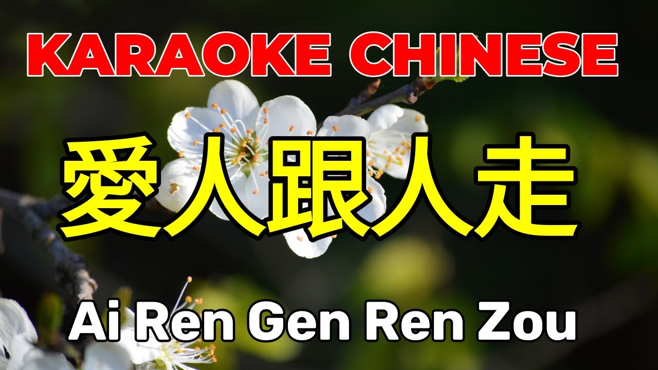 KARAOKE CHINESE 爱人跟人走 l Ai Ren Gen Ren Zou l VietHoa Karaoke - YouTube
