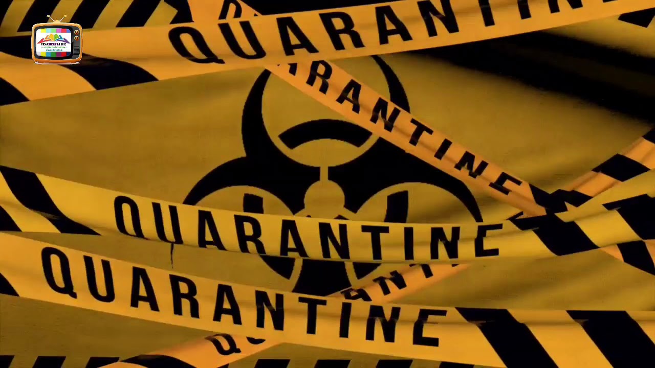 CARONA VIRUS - COVID 19 HISTORY - YouTube