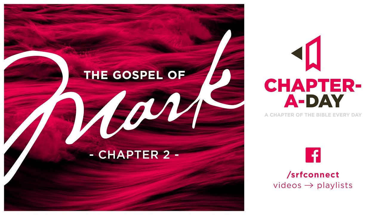 Mark 2 Bible Study - YouTube
