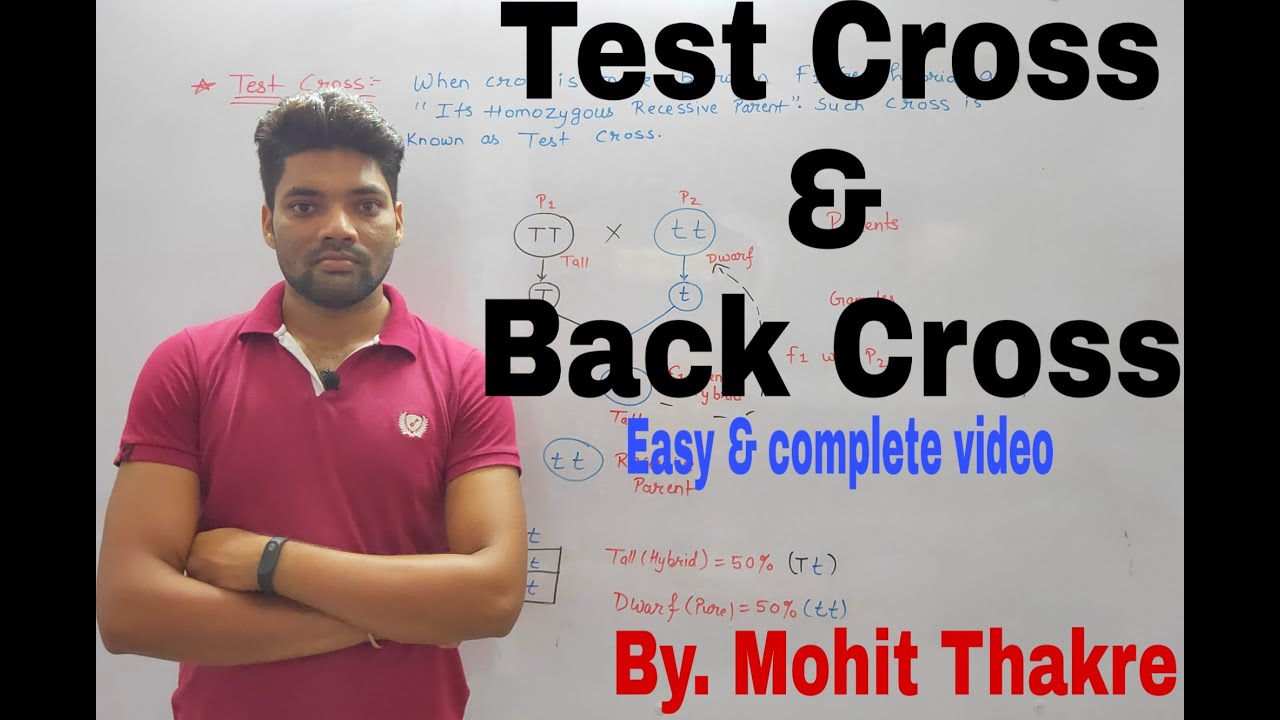 Test Cross And Back Cross Imp Topic For Class 12 Biology And NEET test-cross-and-back-cross-imp-topic-for-class-12-biology-and-neet