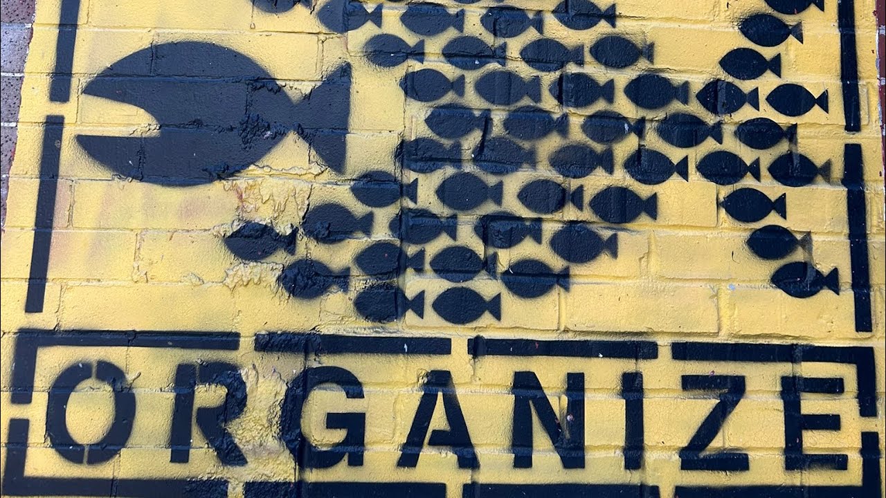 Please do not ban TikTok - YouTube