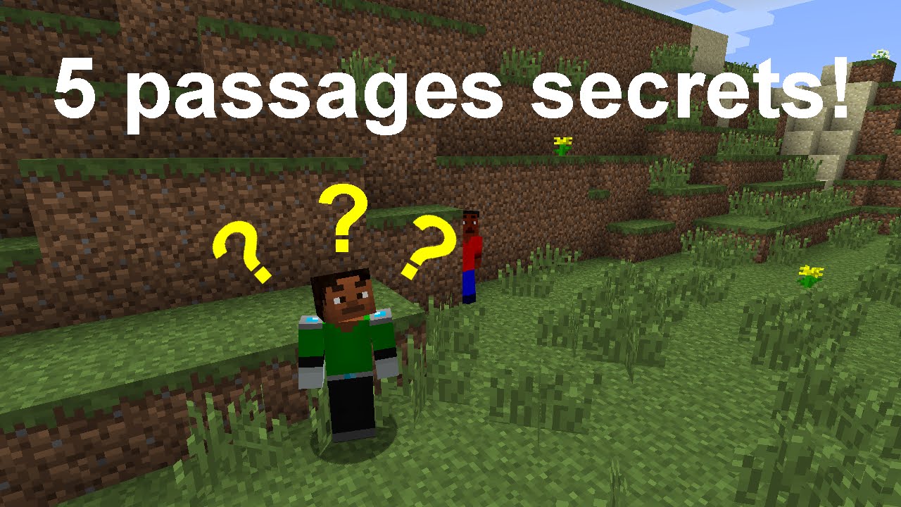 Minecraft passage secret - Fabrice Migneault