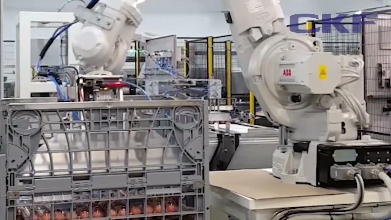 #Robotic Case and Dynamic Shipper Packing - YouTube