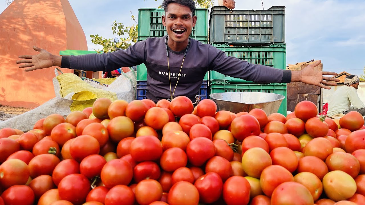 Selling This Great Tomatoes At Village Market - आज भी टमाटर ही टमाटर ...