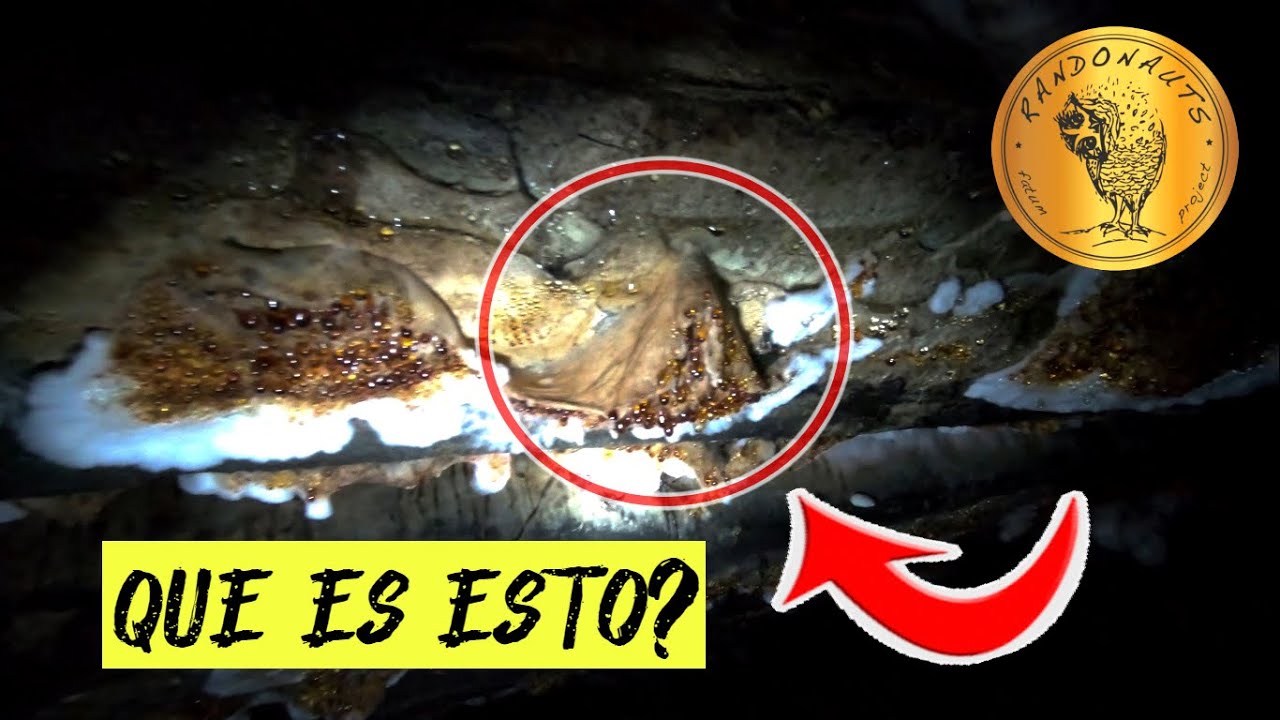 Esto fue ATERRADOR | RANDONAUTICA parte cinco - YouTube