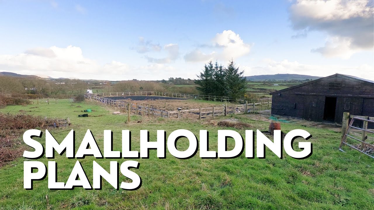 BIG Plans for the First Year of our SMALLHOLDING - YouTube
