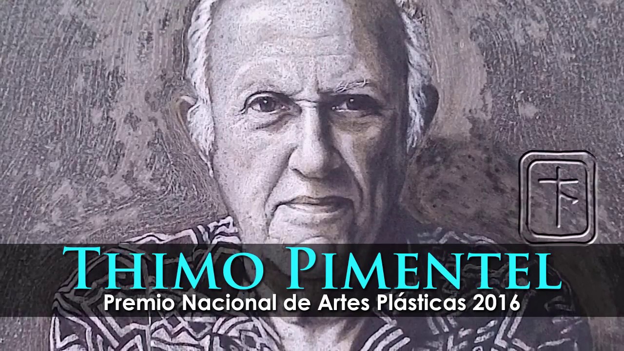 Thimo Pimentel, Premio Nacional de Artes Plásticas 2016 (Entrevista ...