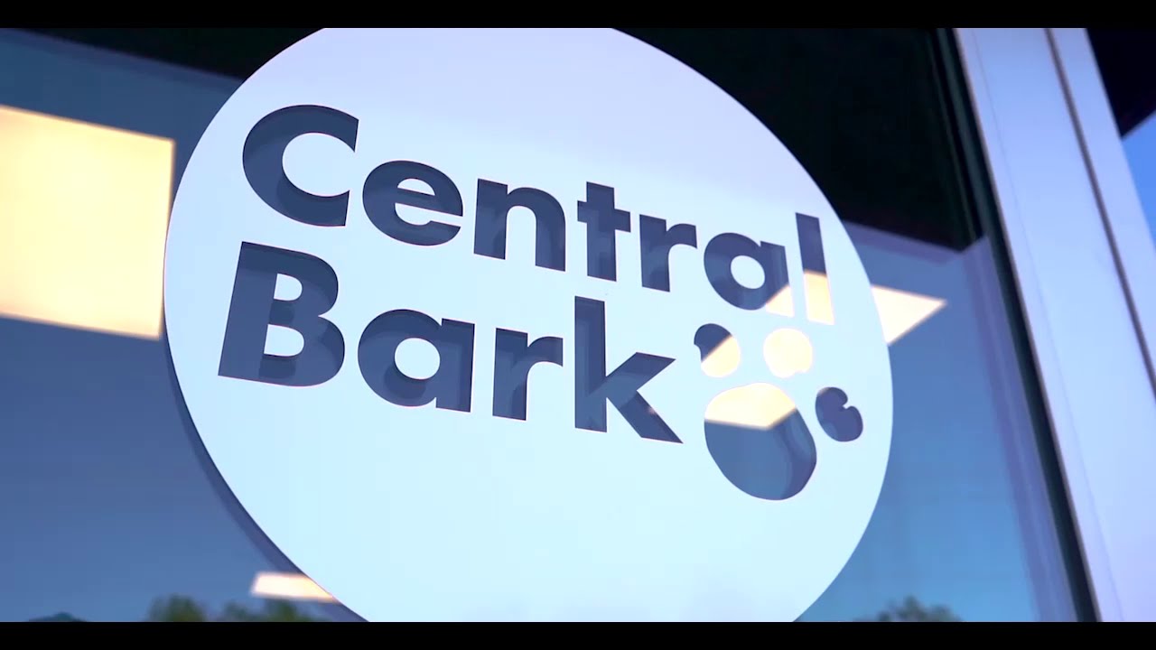 Welcome to Central Bark Orlando East - YouTube