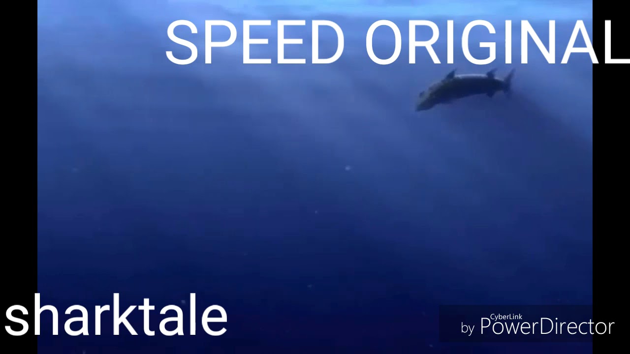 Finding Nemo barracuda speed - YouTube